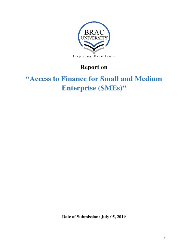 Eco 502 Project Paper | PDF | Entrepreneurship | Small And Medium Sized Enterprises