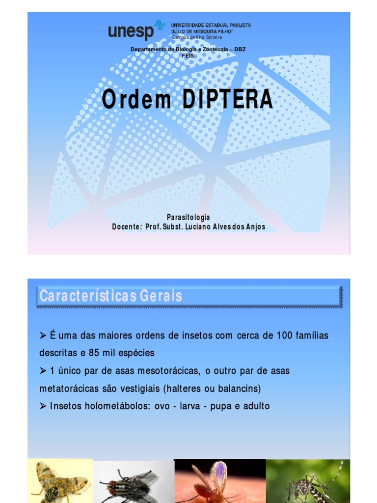 Ordem Diptera | PDF | Mosquito | Insetos