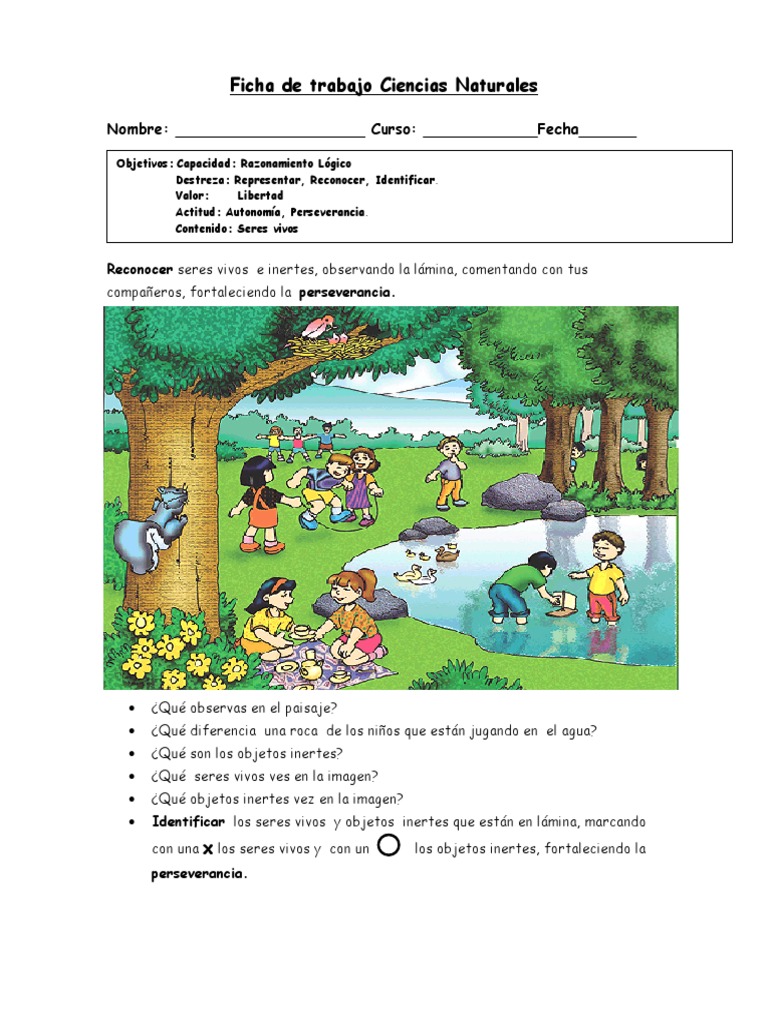 Guia Seres Vivos e Inertes | PDF