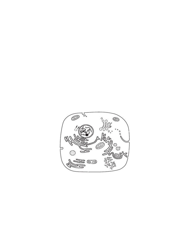1 Cell Structure Paper 1 CAIE AS Biology Classified From 2012 To 2025 ...