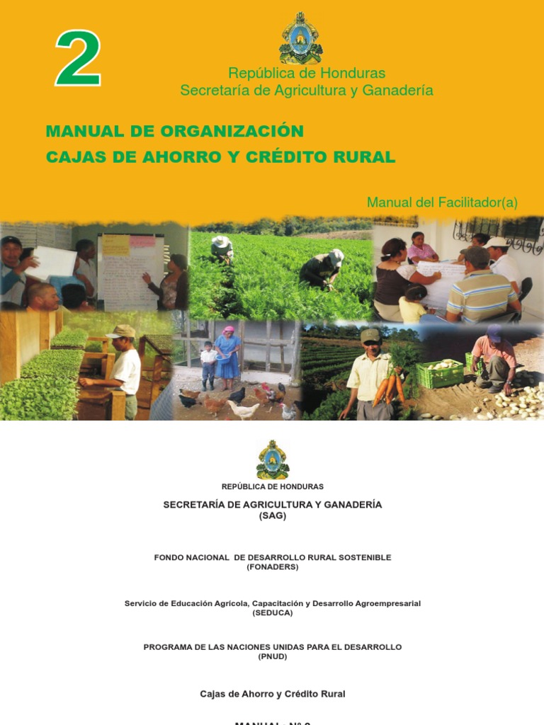 Cajas De Ahorro Y Crédito Rural Manual De Organización: República de ...