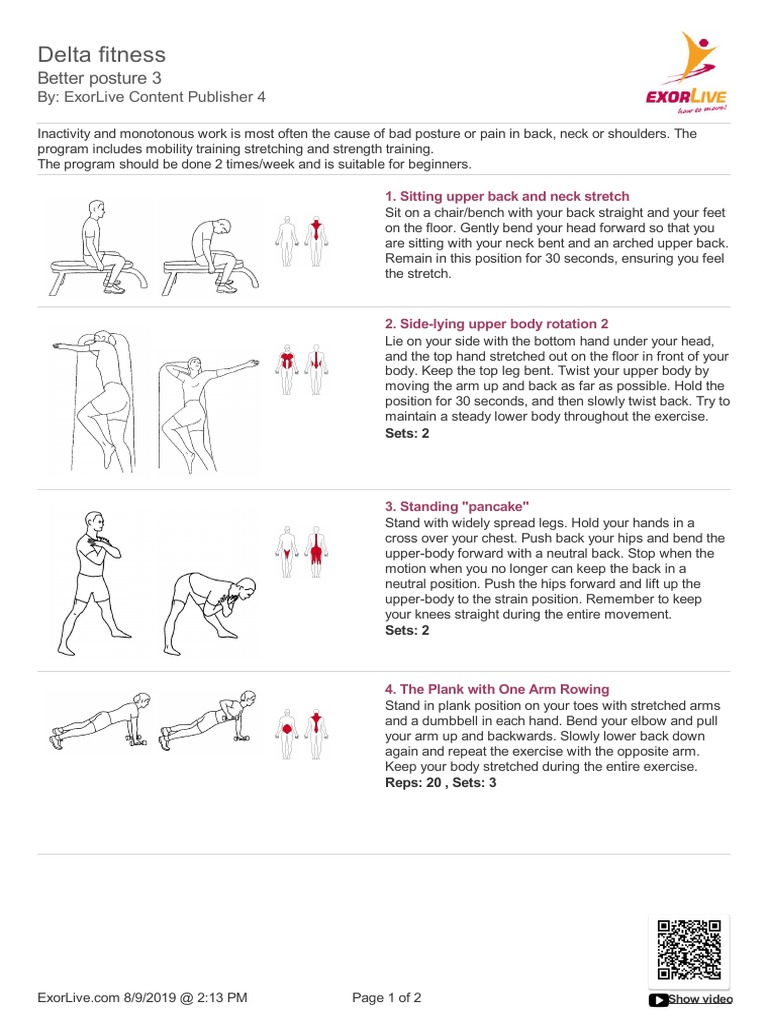 Delta Fitness: Better Posture 3 | PDF | Human Anatomy | Musculoskeletal ...