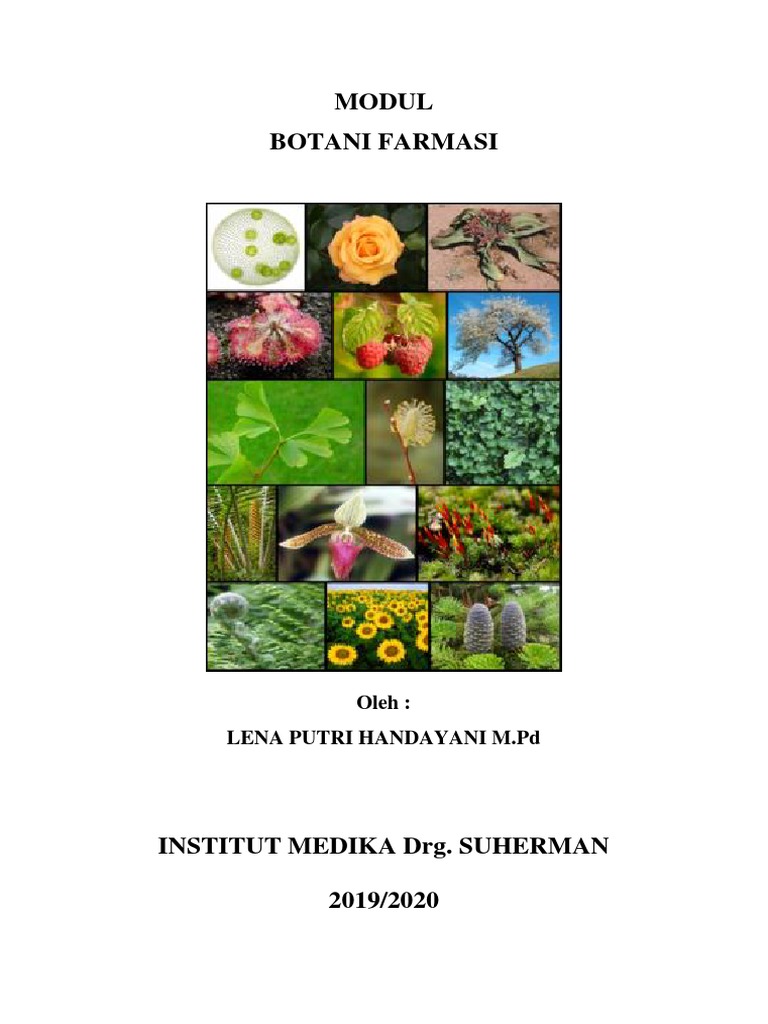 Modul Botani Farmasi | PDF