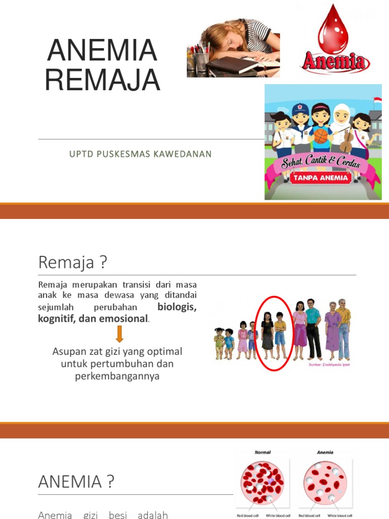 Materi Penyuluhan Anemia Rematri | PDF