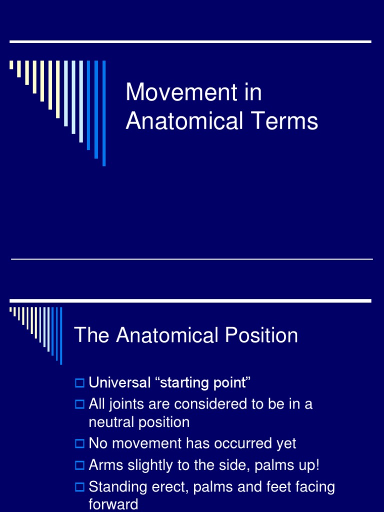 Anatomical Terms of Movement Explained | PDF | Anatomical Terms Of ...