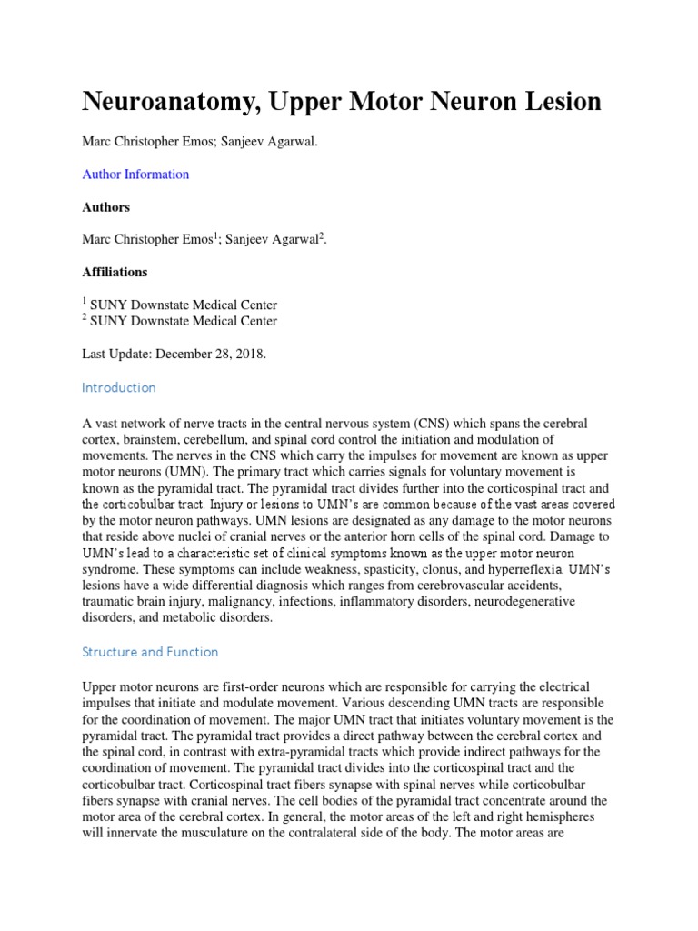 Upper Motor Neuron Lesions: Neuroanatomy, Clinical Presentation, and ...