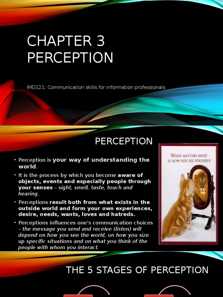 Chapter 3 Perception | PDF | Bias | Perception