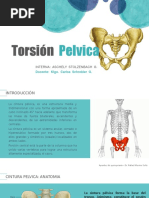 Pelvis Retroversión y Ante Versión Pélvica | PDF | Pelvis | La columna ...