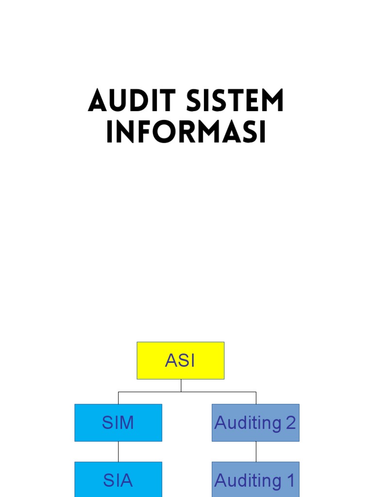 How To Be A Cisa Pdf Information Security Audit