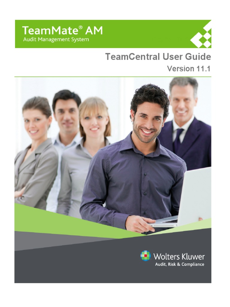 TeamCentral User Guide | PDF | Icon (Computing) | Microsoft Excel
