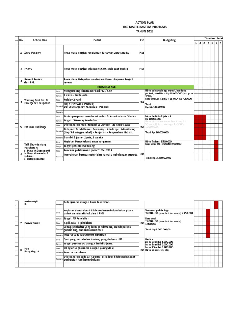 HSE Action Plan | PDF