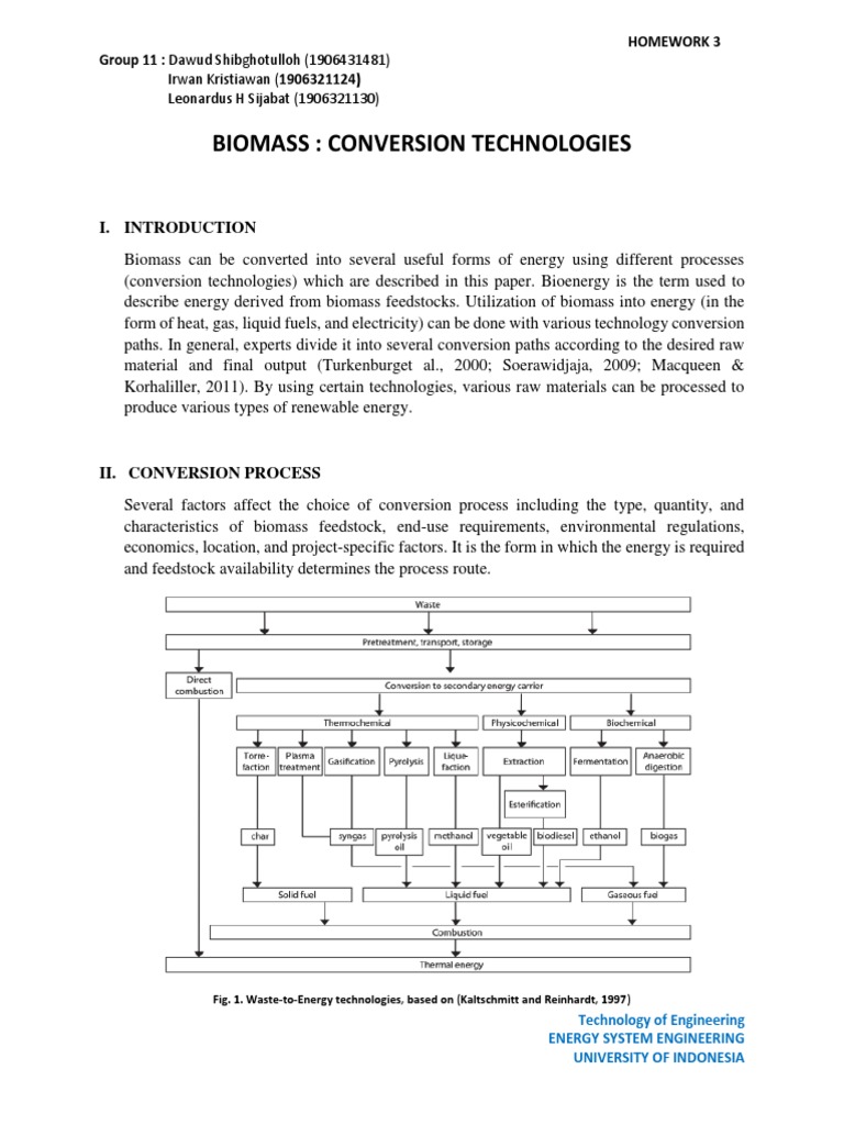 Biomass: Conversion Technologies: Group 11: Dawud Shibghotulloh ...