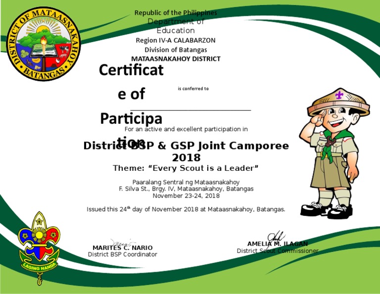 Certificate of Participation BSP | PDF