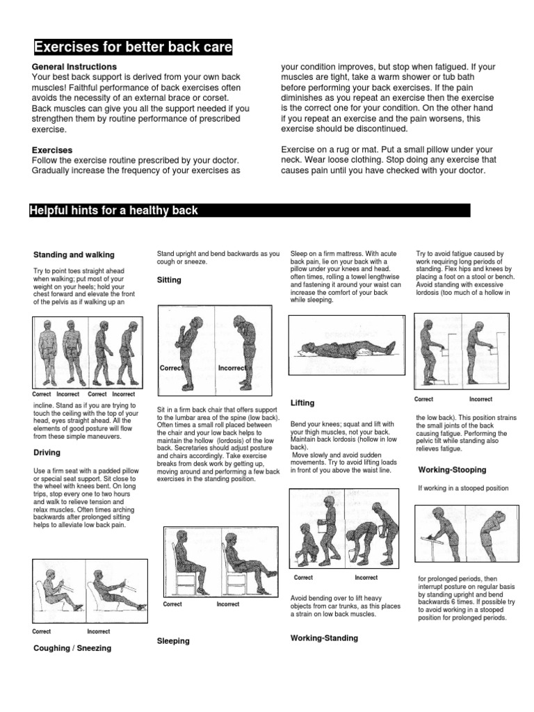 Back Exercise | PDF | Pelvis | Musculoskeletal System