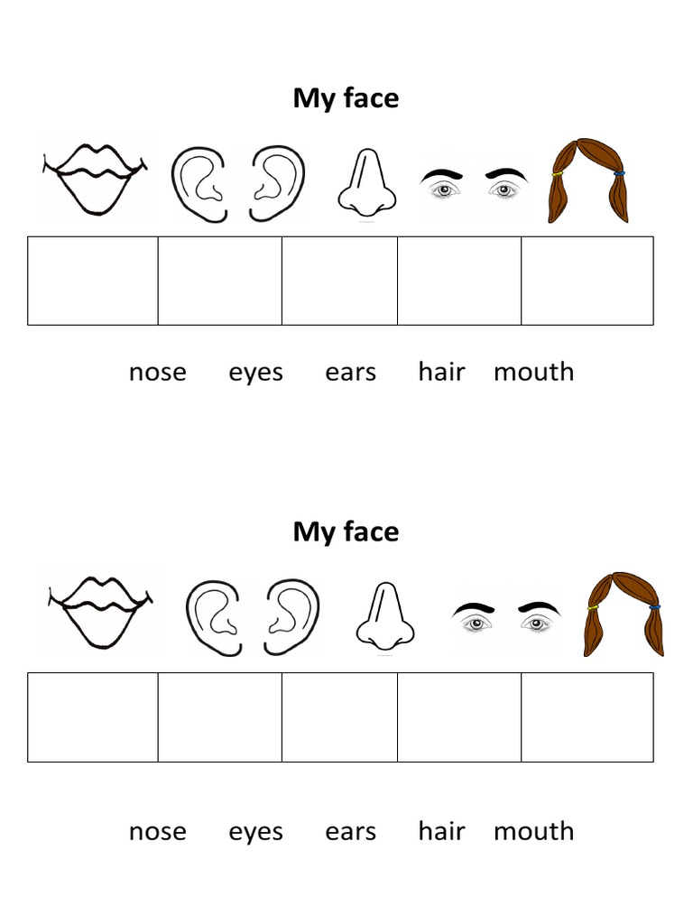 My Face | PDF