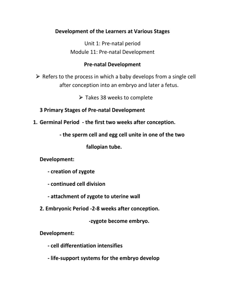 Development of The Learners at Various Stages Hard | PDF | Prenatal ...
