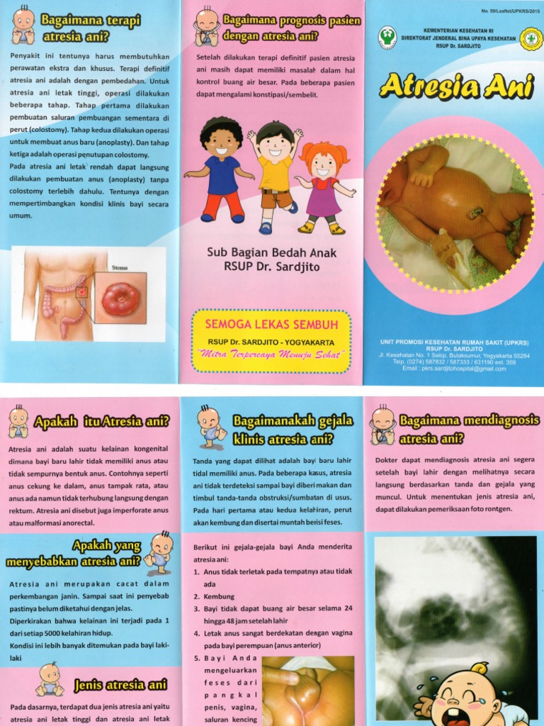 Atresia Ani PDF | PDF