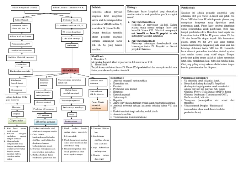 WOC Hemofilia | PDF