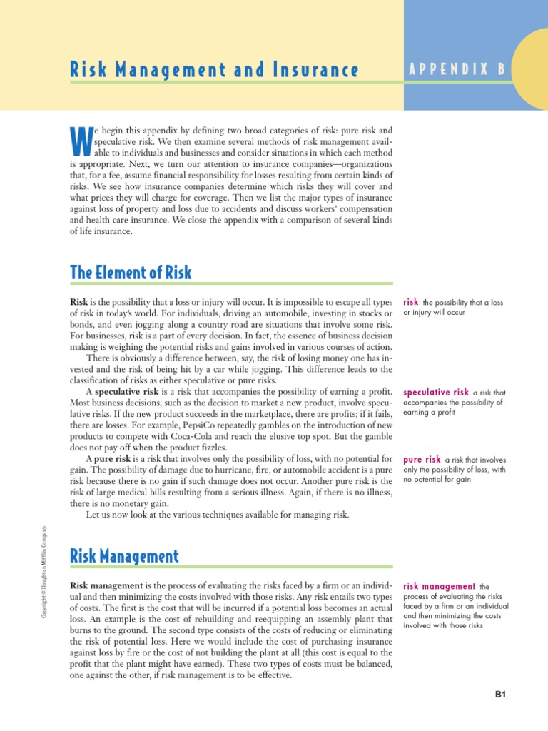 Risk Management and Insurance: The Element of Risk | PDF | Insurance ...
