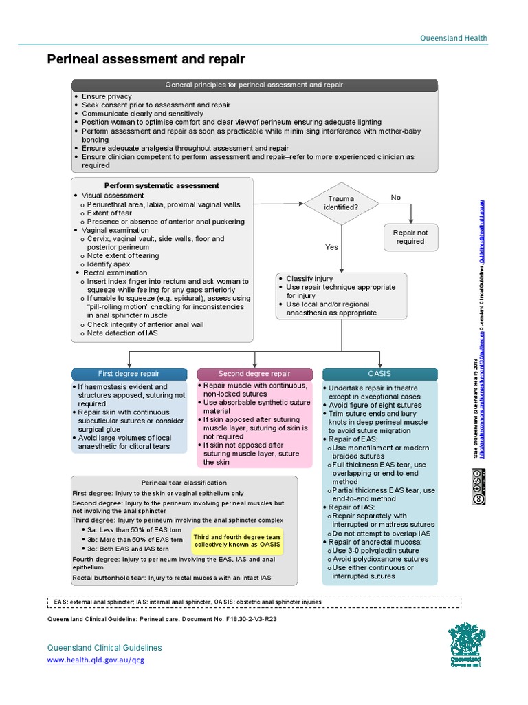 General Principles For Perineal Assessment and Repair | PDF | Surgical ...