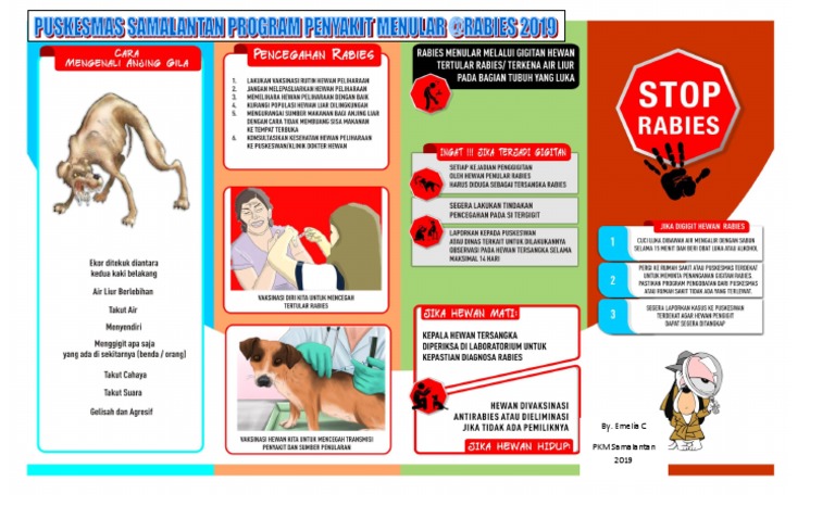 Rabies Leaflet 1 | PDF