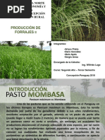 Ficha Técnica Del Pasto Imperial (Axonopus Scoparius, Hitchc) | PDF ...