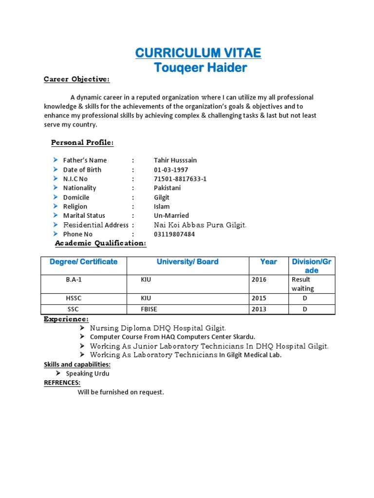 Touqeer Haider CV - Skills & Experience | PDF
