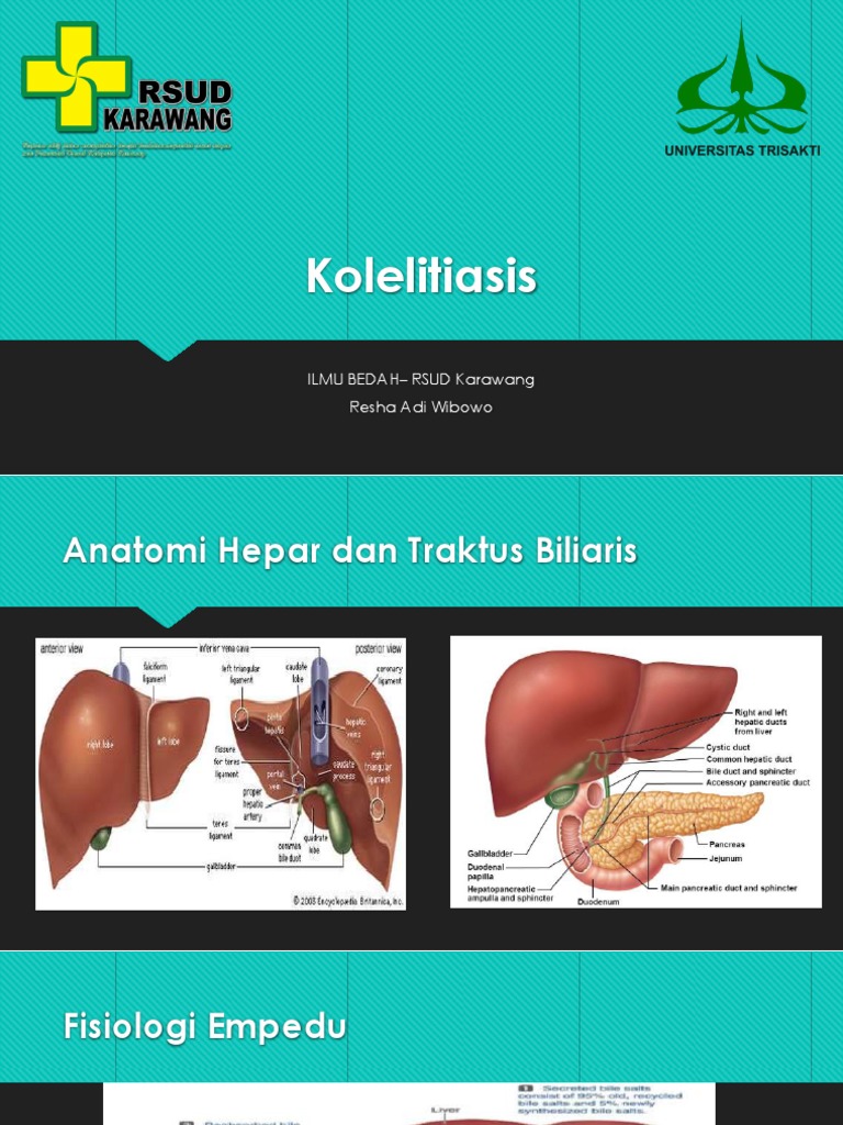 Panduan Kolelitiasis untuk Medis | PDF | Kesehatan Holistik | Sains ...