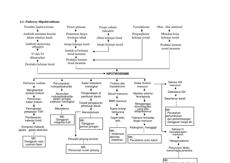 Pathway Hipotiroidisme | PDF