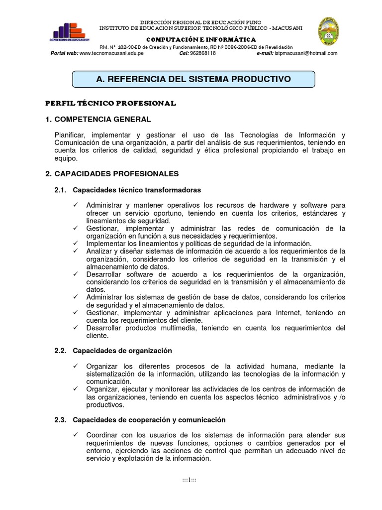 05 Plan Curricular Computacion e Informatica | PDF | La seguridad informática | Seguridad