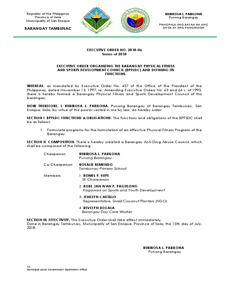 Organizing the Barangay Physical Fitness and Sports Development Council ...