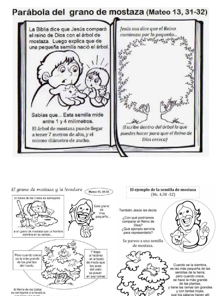 Ejercicios El Grano de Mostaza - Parábola | PDF