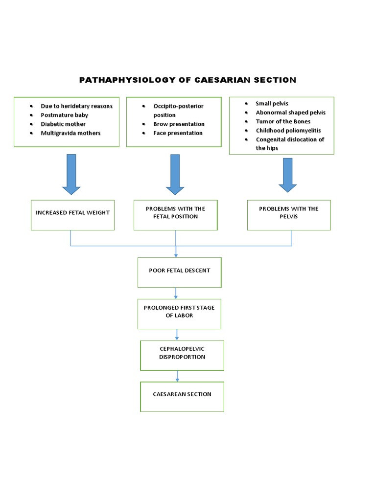 Pathaphysiology | PDF