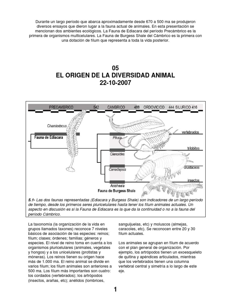 Evolucion | PDF | Ojo | Crustáceo