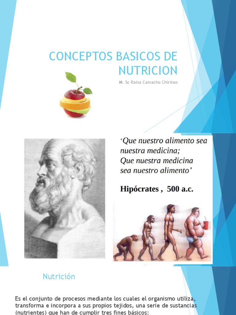 Conceptos Basicos de Nutricion | PDF | Nutrición | Dieta y nutrición