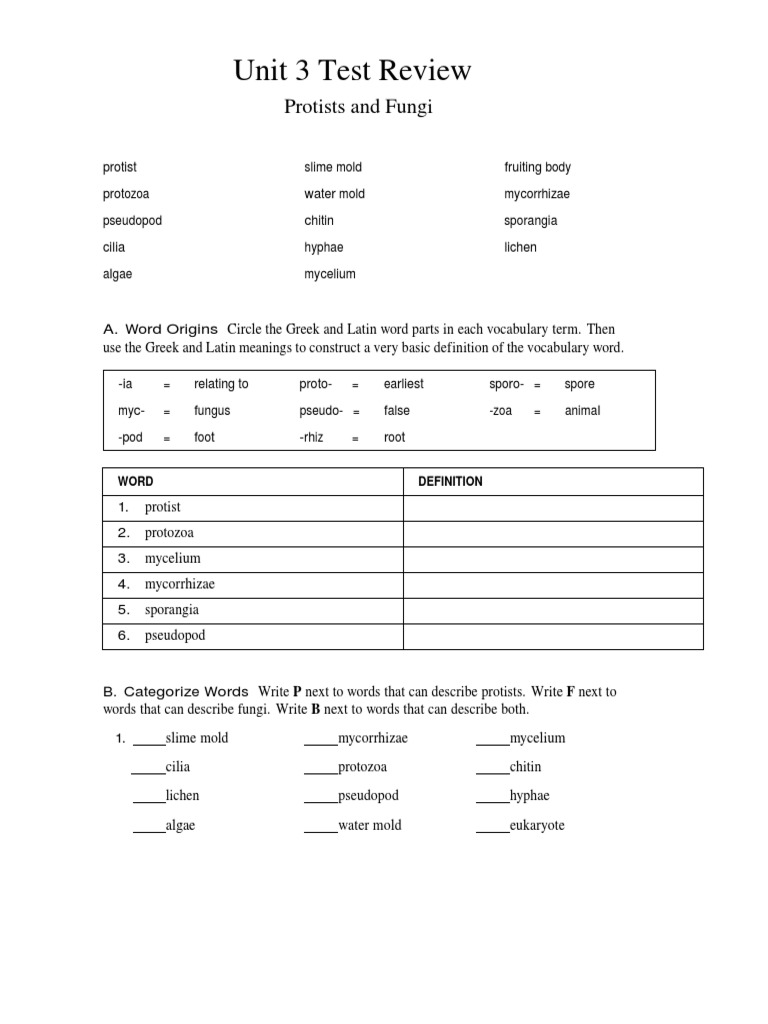 Unit 3 Test Review: Visual Study Guide for Protists and Fungi | PDF ...