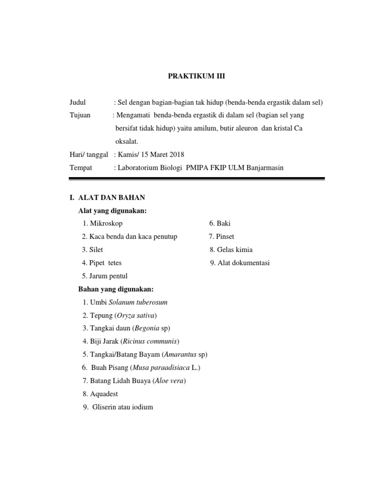Praktikum 3 | PDF