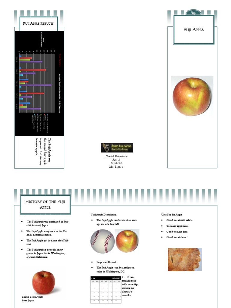 Daniel Carranza Apple Brochure | PDF | Apple | Edible Fruits