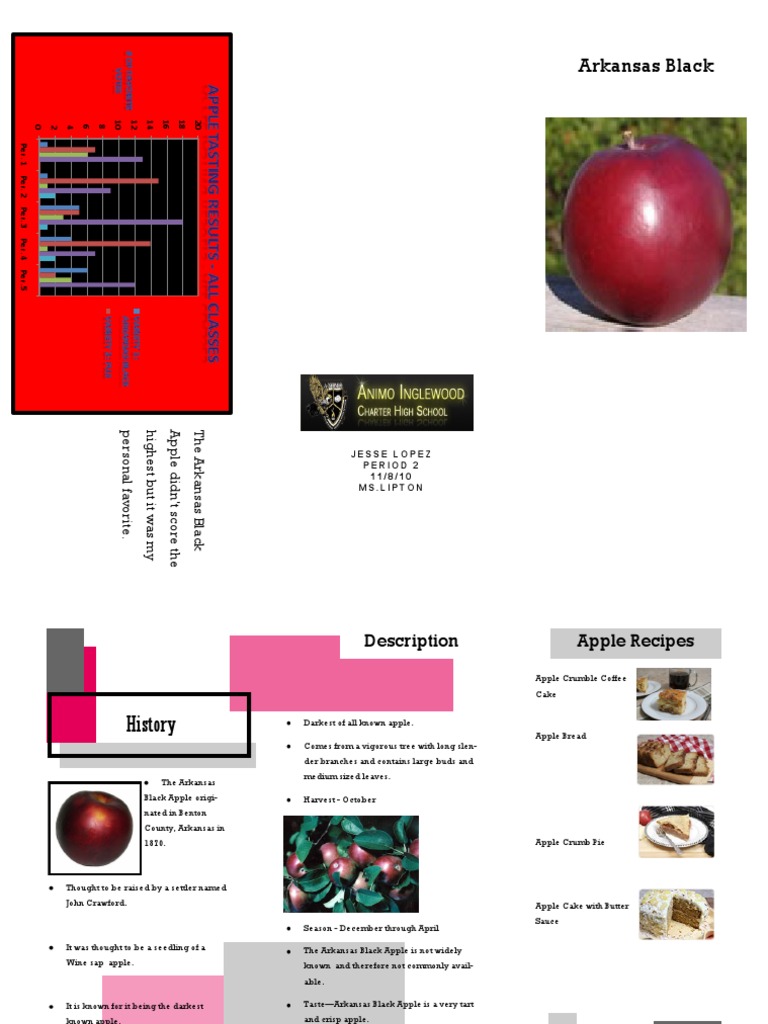 Jesse Lopez Apple Brochure | Download Free PDF | Apple | Baked Goods
