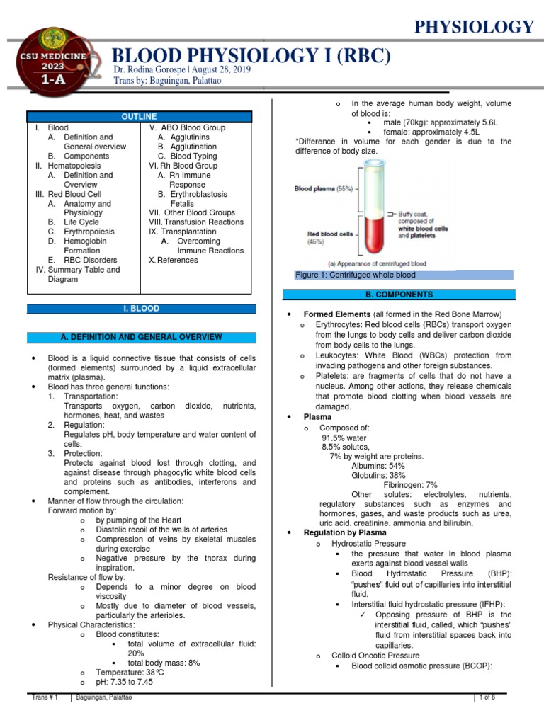 Chapter 33, 36 - Guyton | PDF | Red Blood Cell | Blood Type