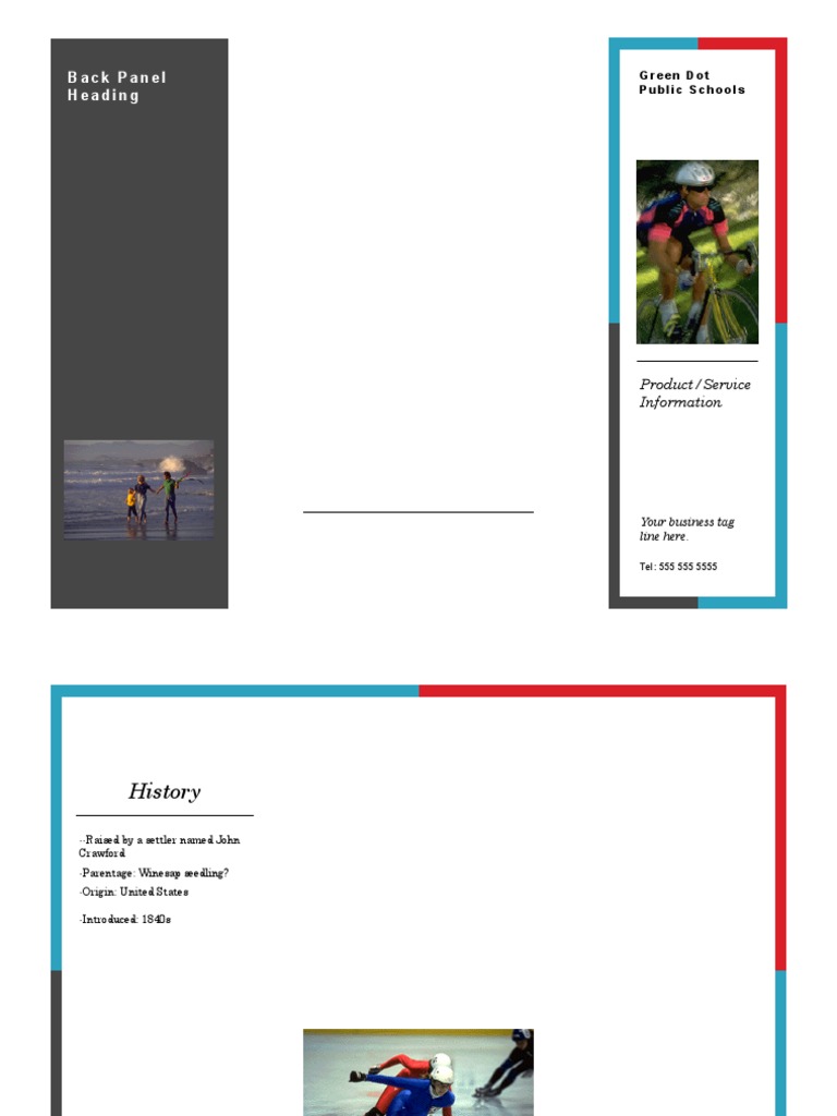 Anthony Ortega Apple Brochure | PDF