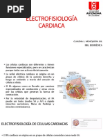 Escala RACE para Evaluación de Ictus | PDF | Cuidado de la salud ...
