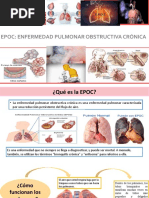 Foramen Ciático Mayor y Menor | PDF | Historia
