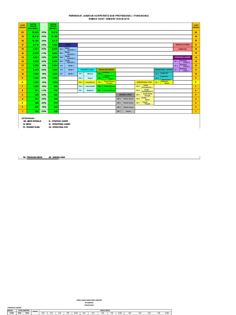 Hierarchy of Corporate and Professional Ranks in Hospitals | PDF