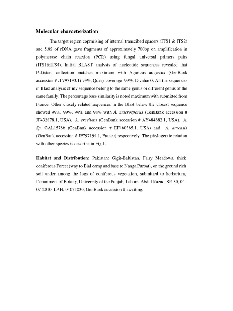 Molecular Characterization | PDF