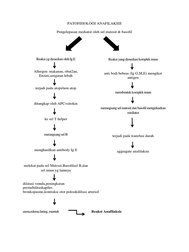 Pathway Anafilaksis | PDF