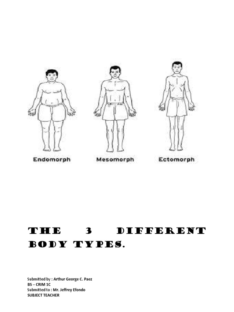 The 3 Different Body Types Submitted By Arthur George C Paez