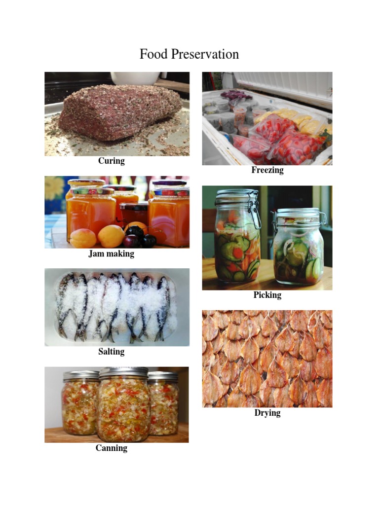 Food Preservation Techniques Guide | PDF | Wellness
