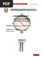 Determinación de Porcentaje de Sólido | PDF | Densidad | Física