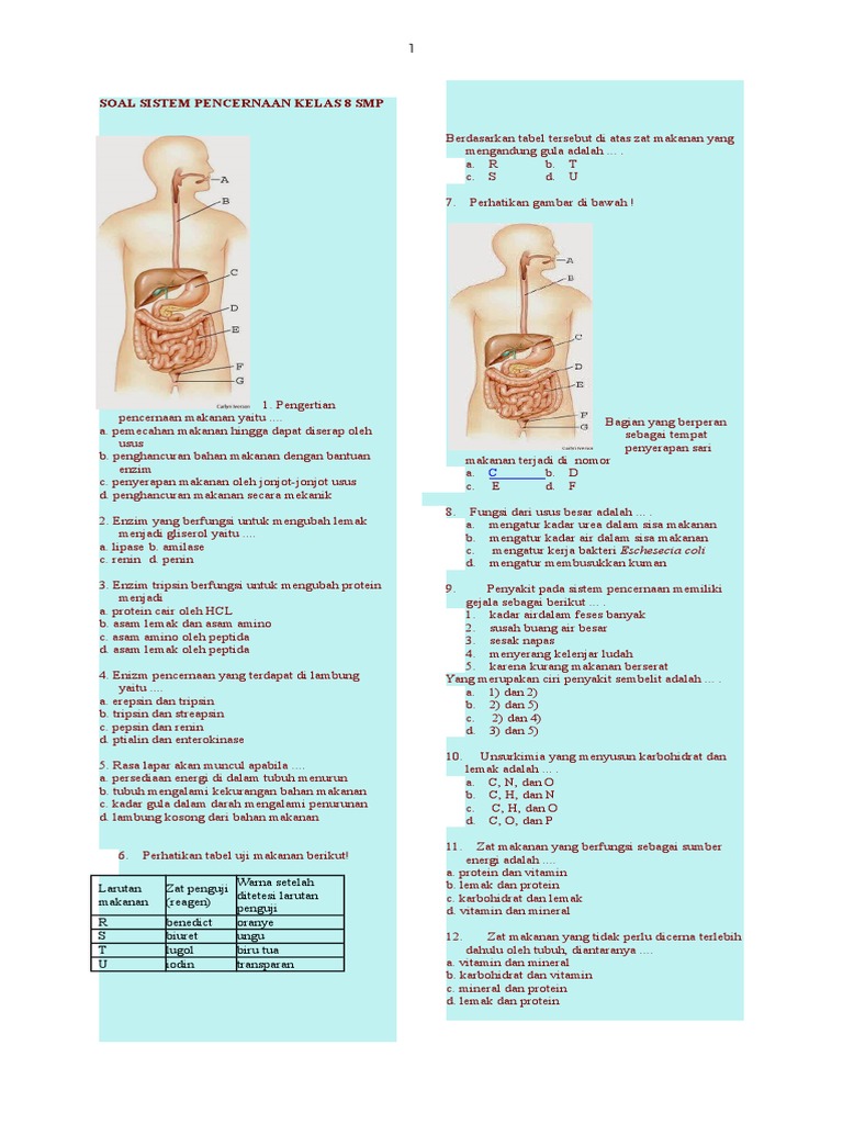 Soal Sistem Pencernaan Kelas 8 SMP | PDF